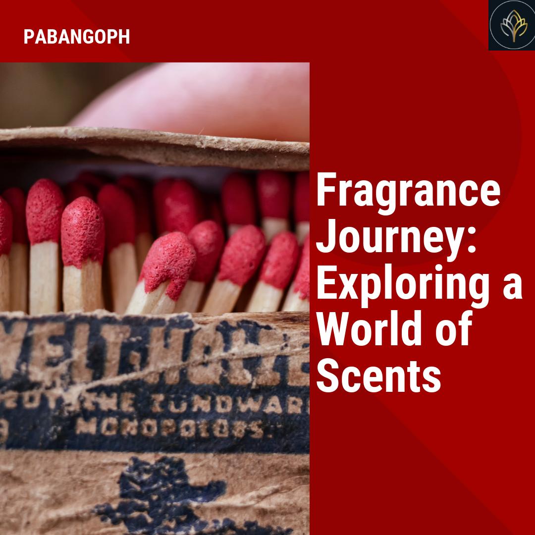 Fragrance Journey: Exploring a World of Scents – PabangoPH