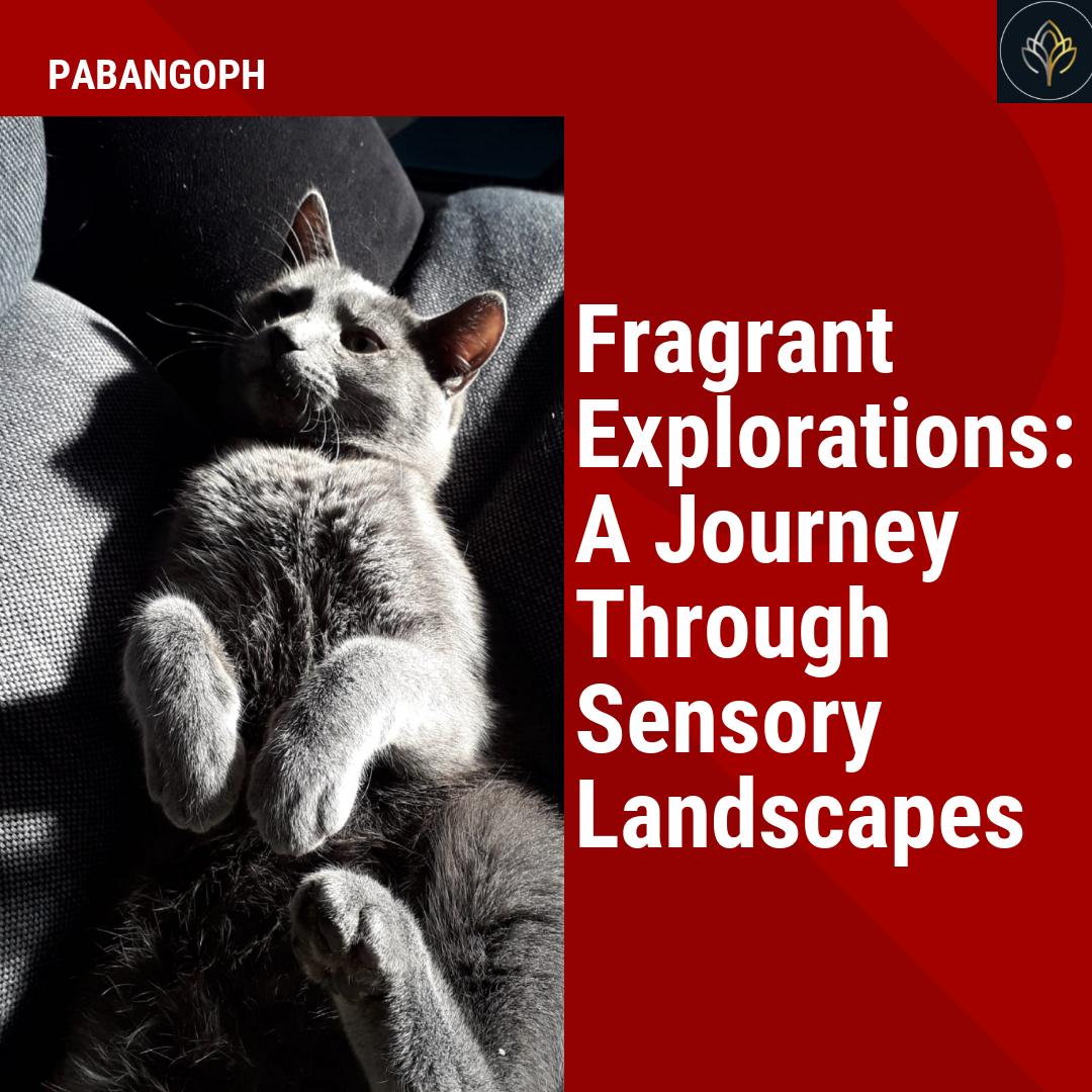 Fragrant Explorations: A Journey Through Sensory Landscapes – PabangoPH