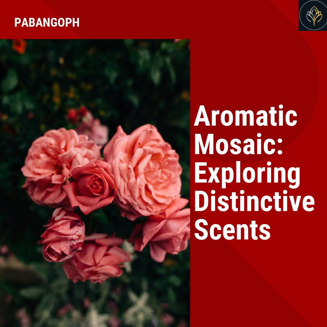 Aromatic Mosaic: Exploring Distinctive Scents – PabangoPH