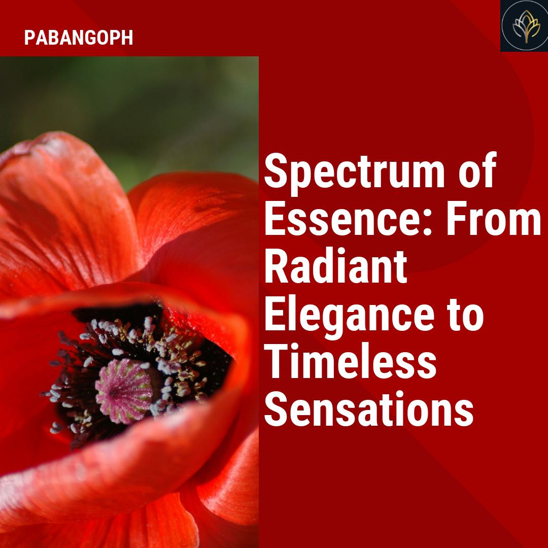 Spectrum of Essence: From Radiant Elegance to Timeless Sensations – PabangoPH