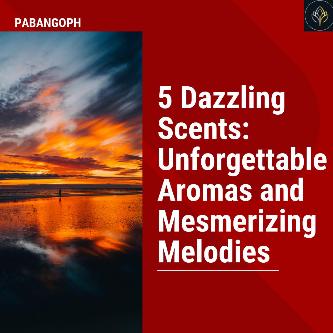 5 Dazzling Scents: Unforgettable Aromas and Mesmerizing Melodies – PabangoPH