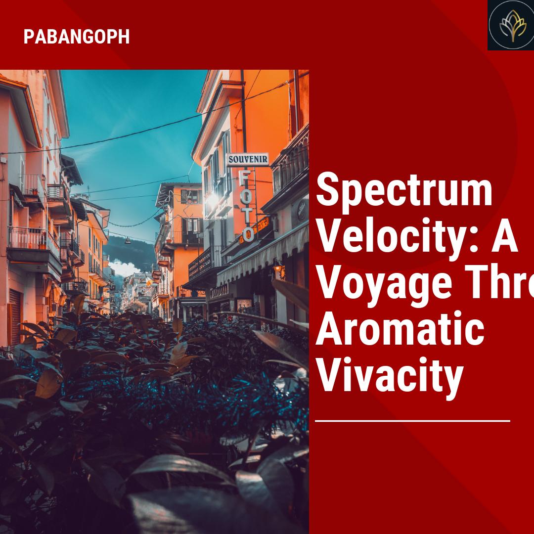 Spectrum Velocity: A Voyage Through Aromatic Vivacity – PabangoPH