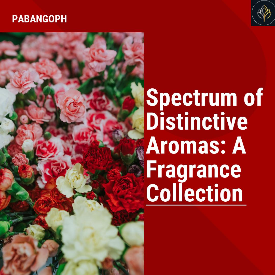 Spectrum of Distinctive Aromas: A Fragrance Collection – PabangoPH