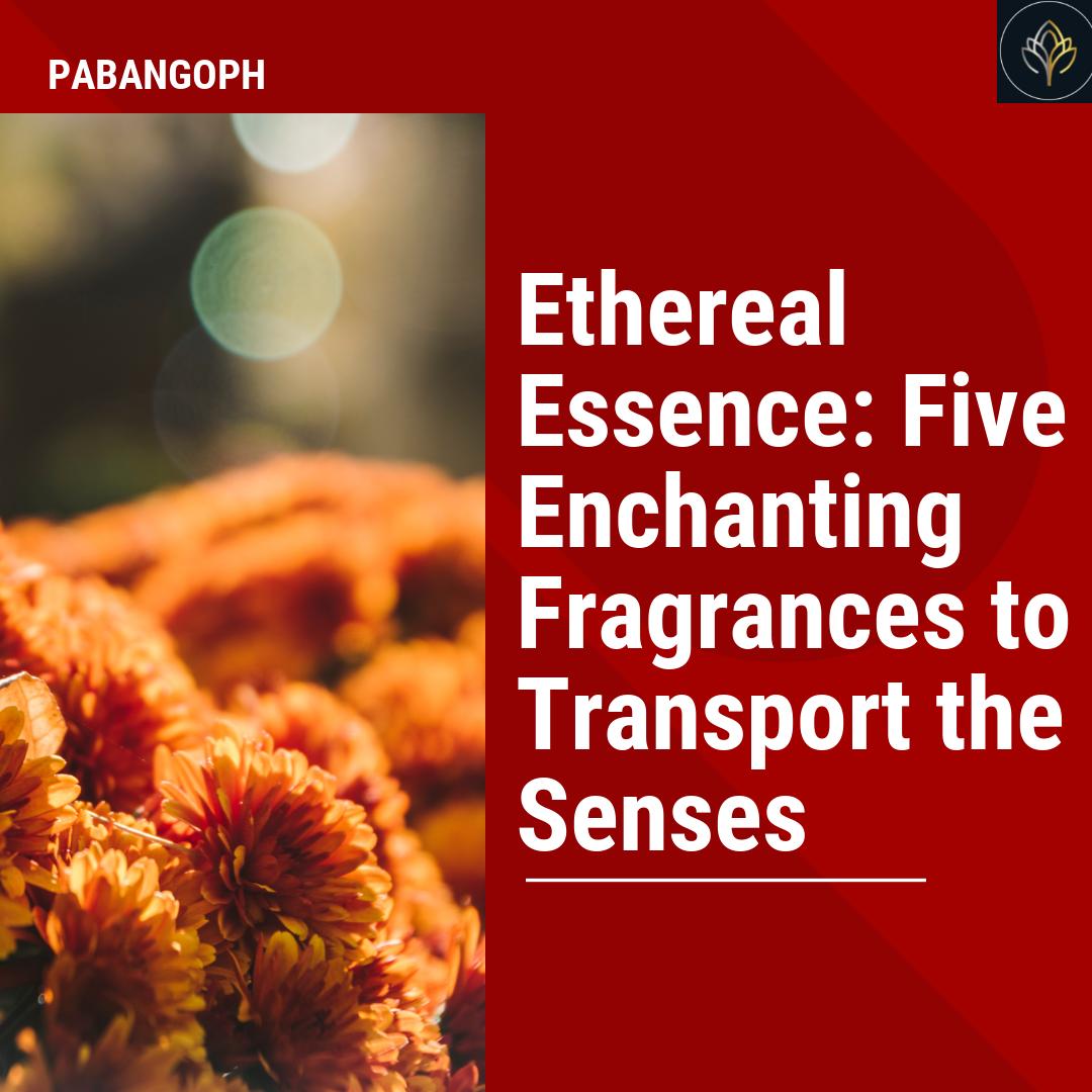 Ethereal Essence: Five Enchanting Fragrances to Transport the Senses ...