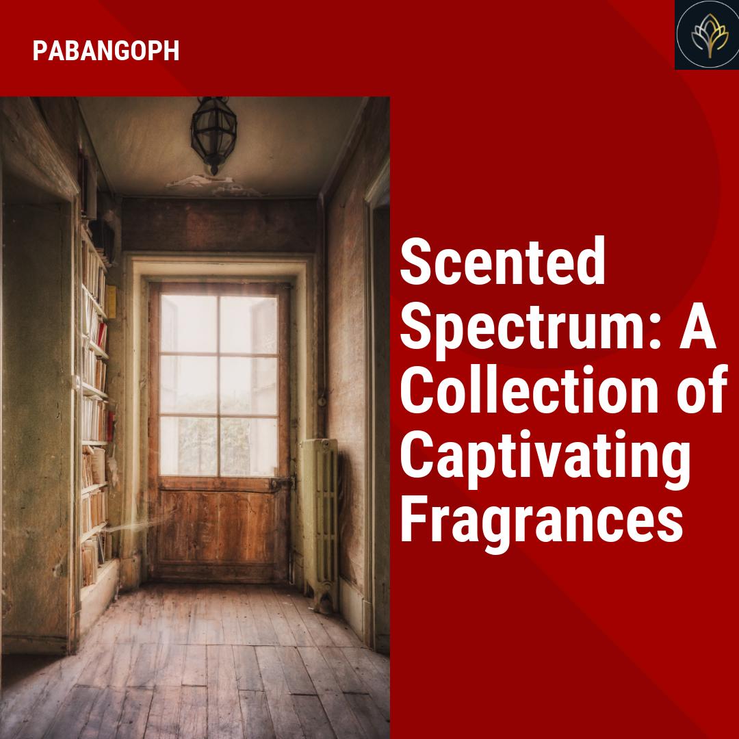 Scented Spectrum: A Collection of Captivating Fragrances – PabangoPH
