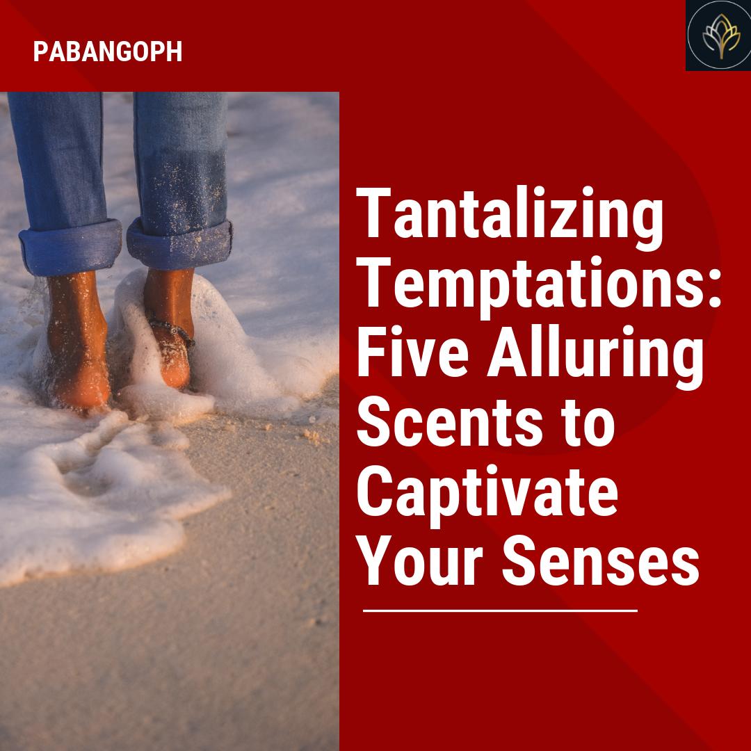 Tantalizing Temptations: Five Alluring Scents to Captivate Your Senses ...