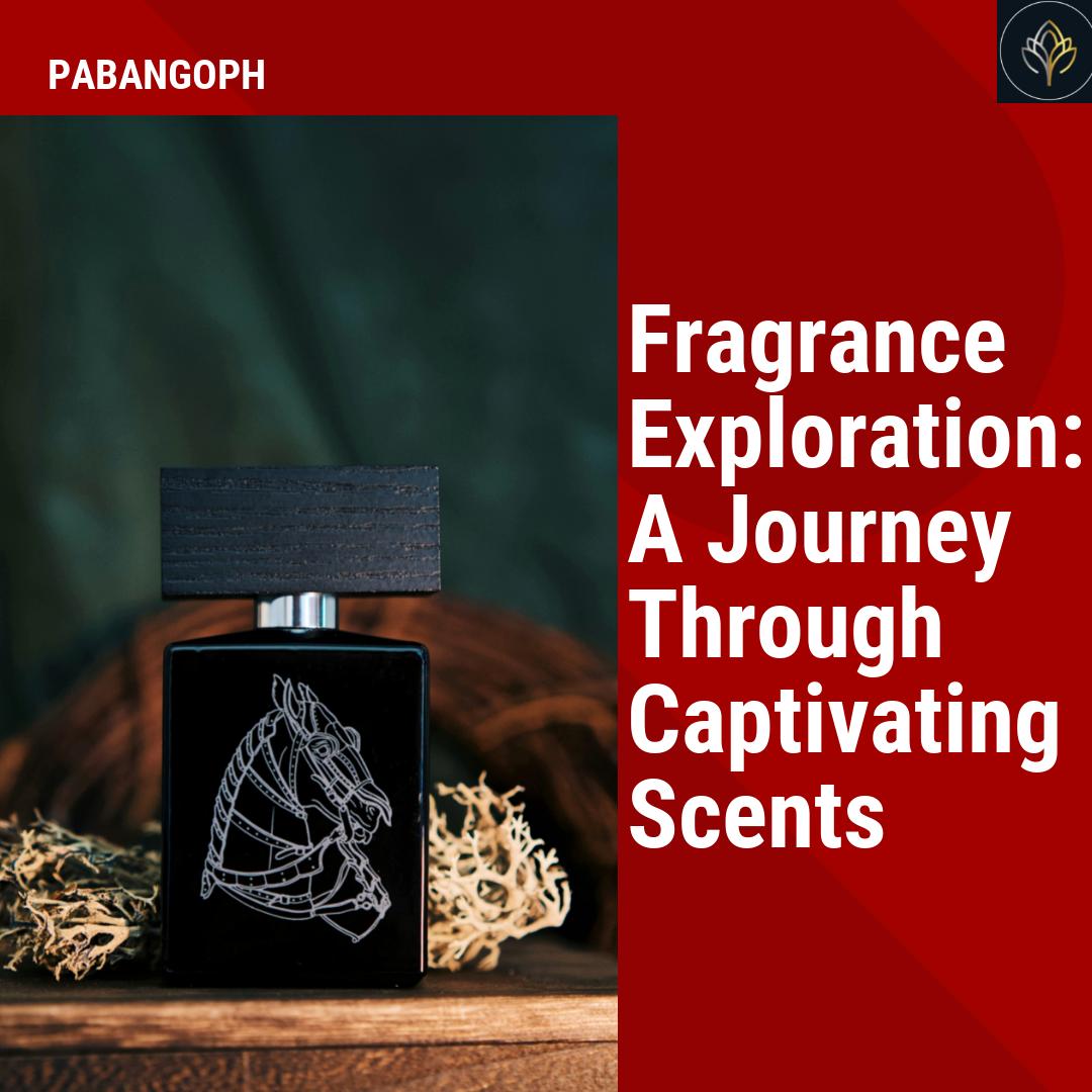 Fragrance Exploration: A Journey Through Captivating Scents – PabangoPH