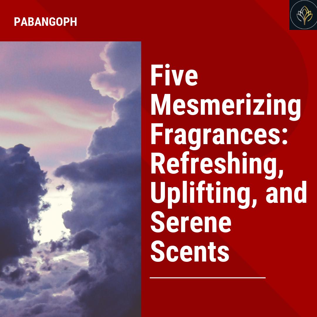 Five Mesmerizing Fragrances: Refreshing, Uplifting, and Serene Scents ...