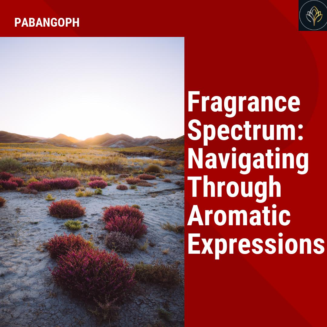 Fragrance Spectrum: Navigating Through Aromatic Expressions – PabangoPH