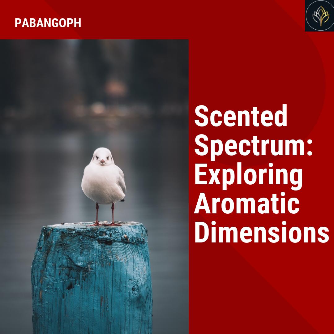 Scented Spectrum: Exploring Aromatic Dimensions – PabangoPH