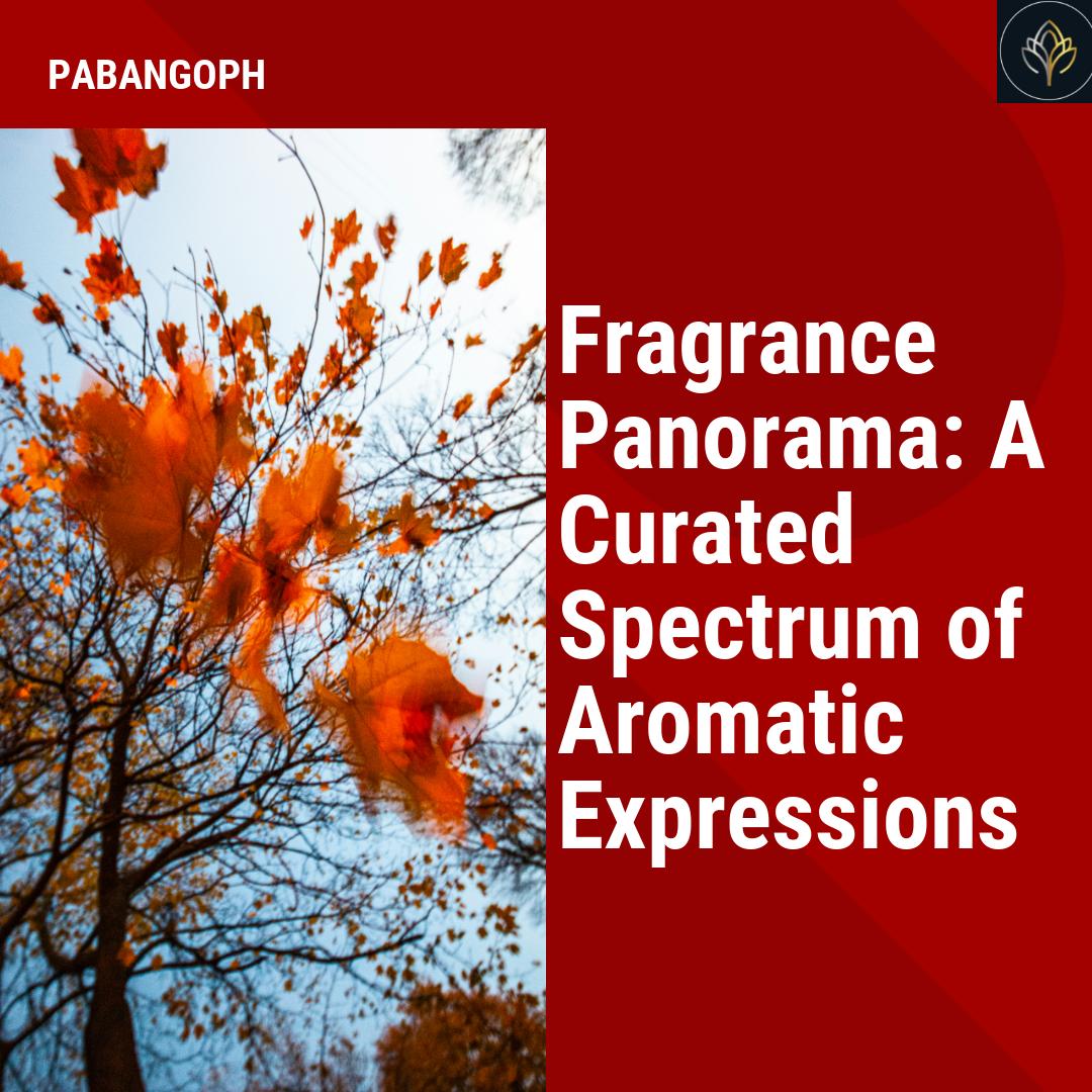 Fragrance Panorama: A Curated Spectrum of Aromatic Expressions – PabangoPH