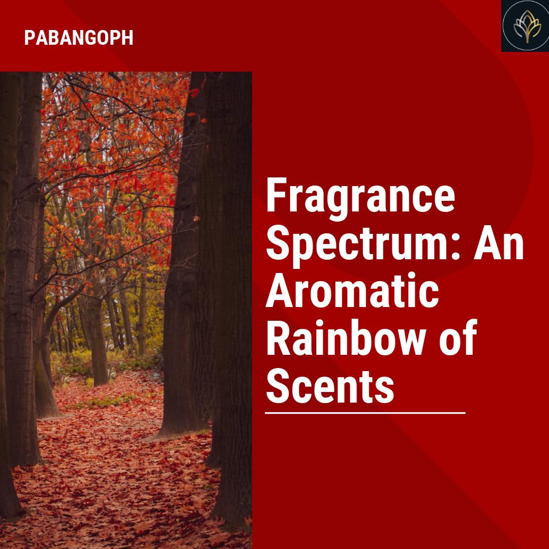 Fragrance Spectrum: An Aromatic Rainbow of Scents – PabangoPH