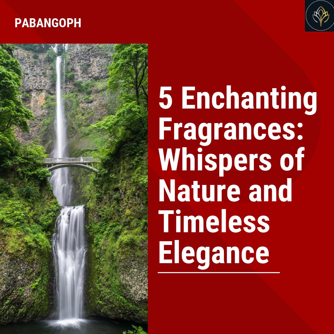 5 Enchanting Fragrances: Whispers of Nature and Timeless Elegance ...