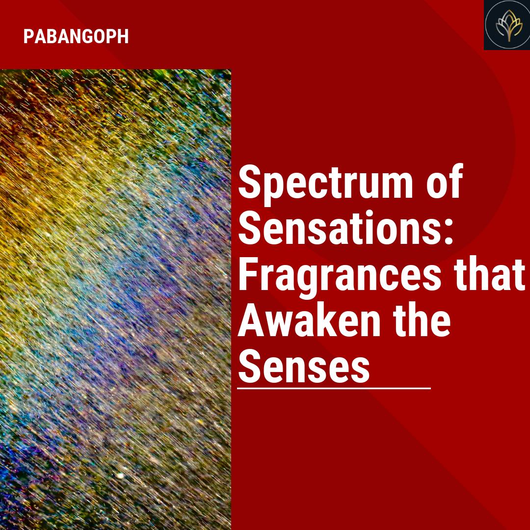 Spectrum of Sensations: Fragrances that Awaken the Senses – PabangoPH