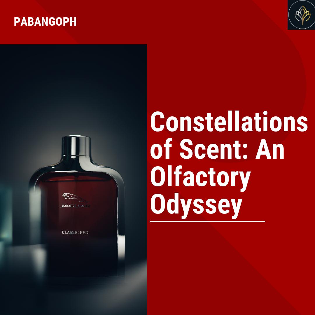 Constellations of Scent: An Olfactory Odyssey – PabangoPH