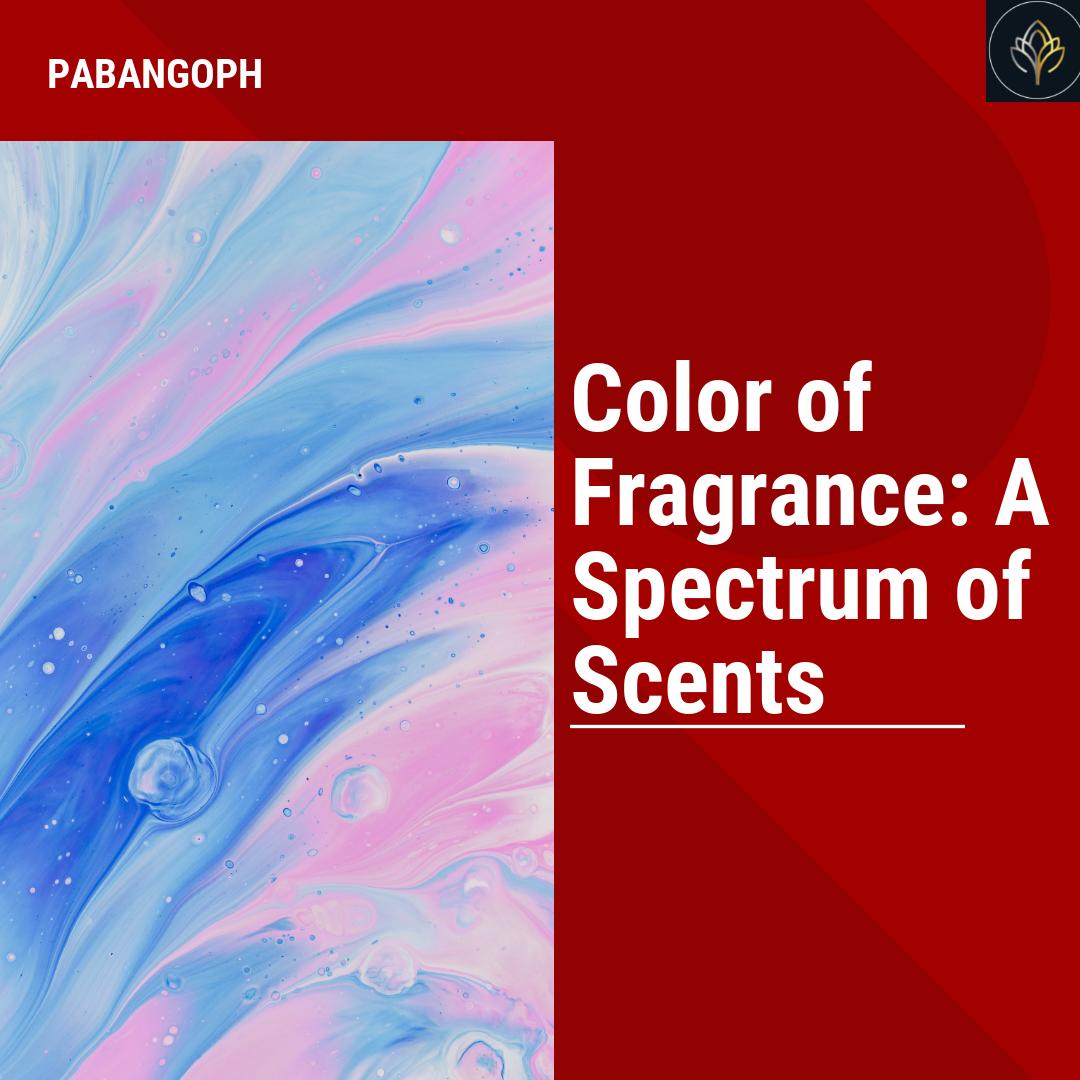 Color of Fragrance: A Spectrum of Scents – PabangoPH