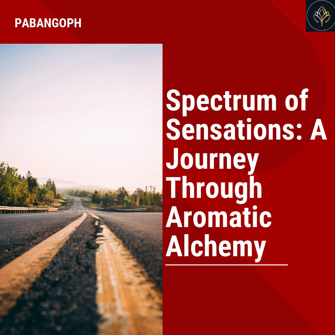 Spectrum of Sensations: A Journey Through Aromatic Alchemy – PabangoPH