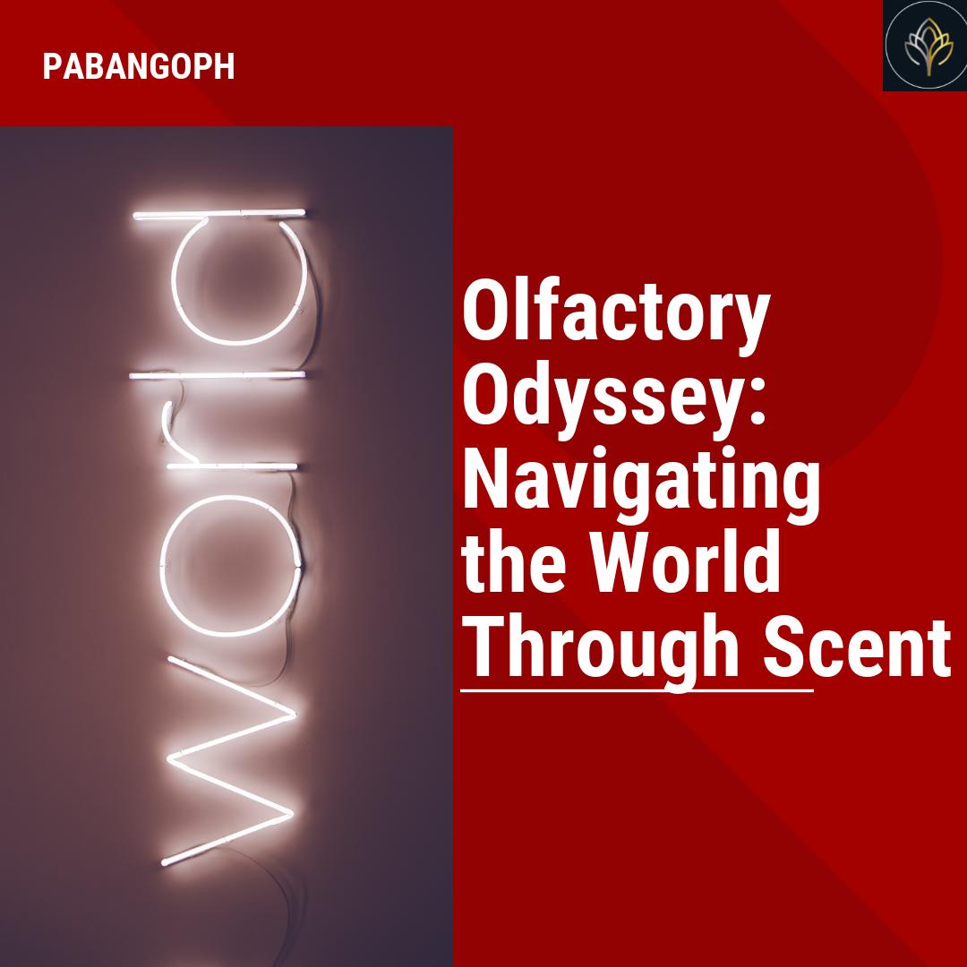 Olfactory Odyssey: Navigating the World Through Scent – PabangoPH