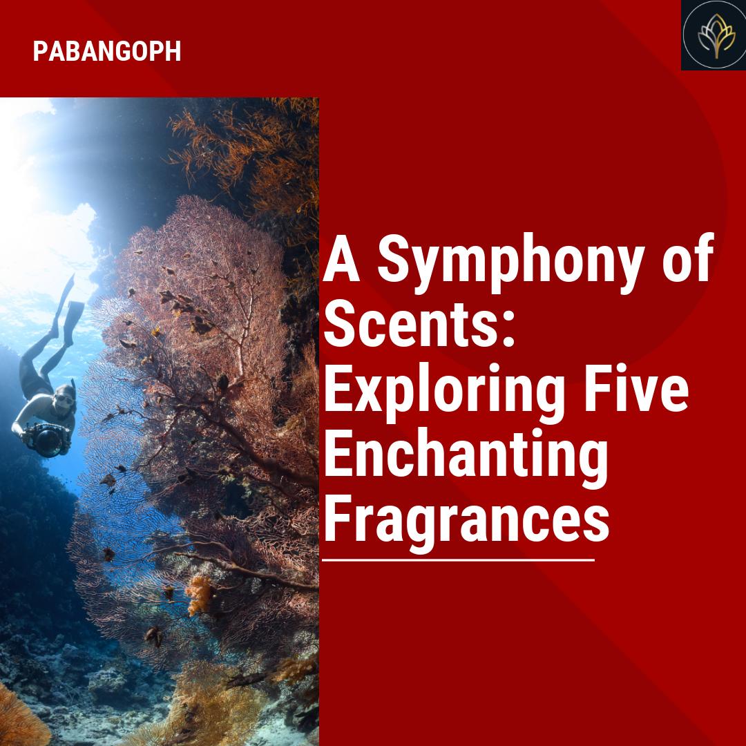 A Symphony of Scents: Exploring Five Enchanting Fragrances – PabangoPH