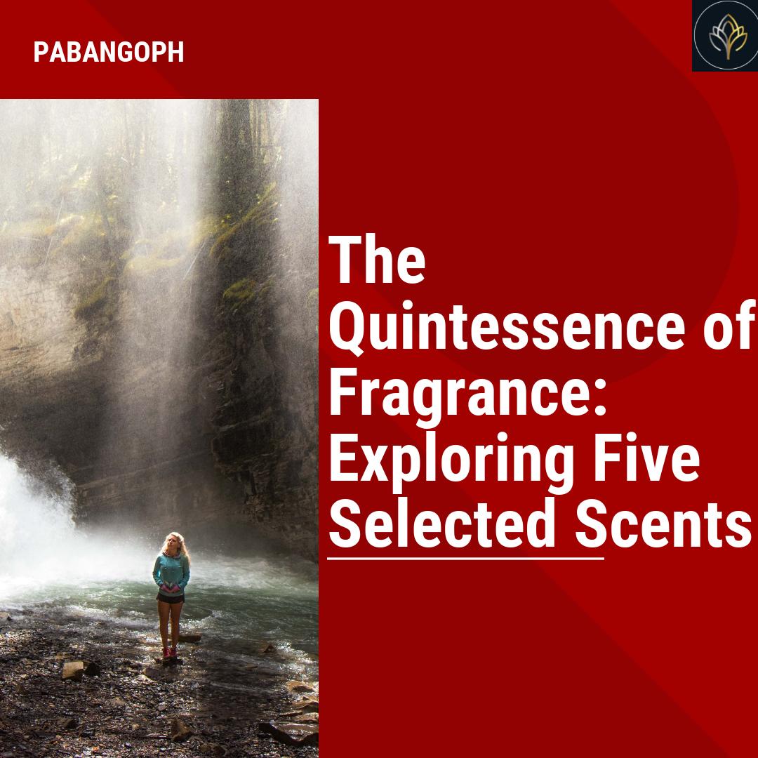The Quintessence of Fragrance: Exploring Five Selected Scents – PabangoPH
