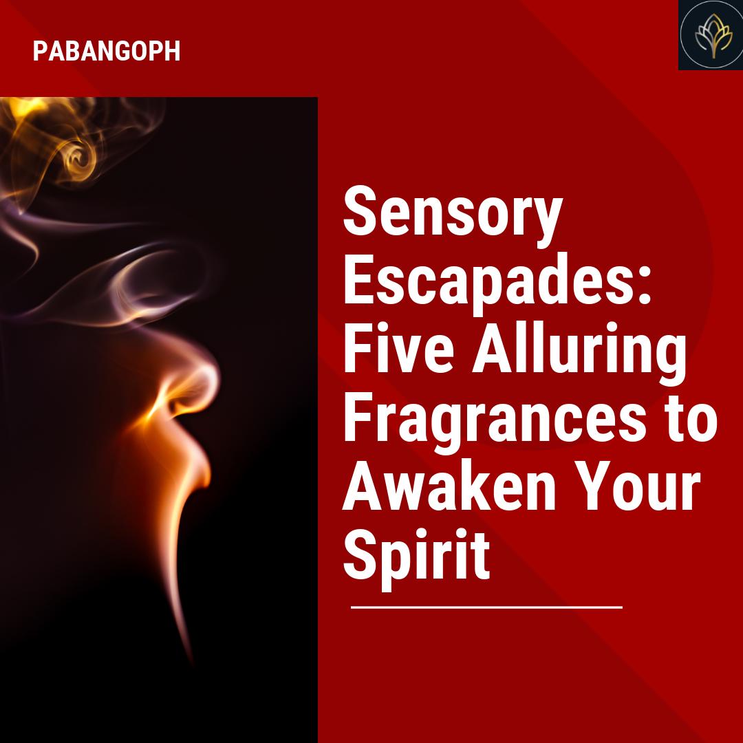 Sensory Escapades: Five Alluring Fragrances to Awaken Your Spirit ...